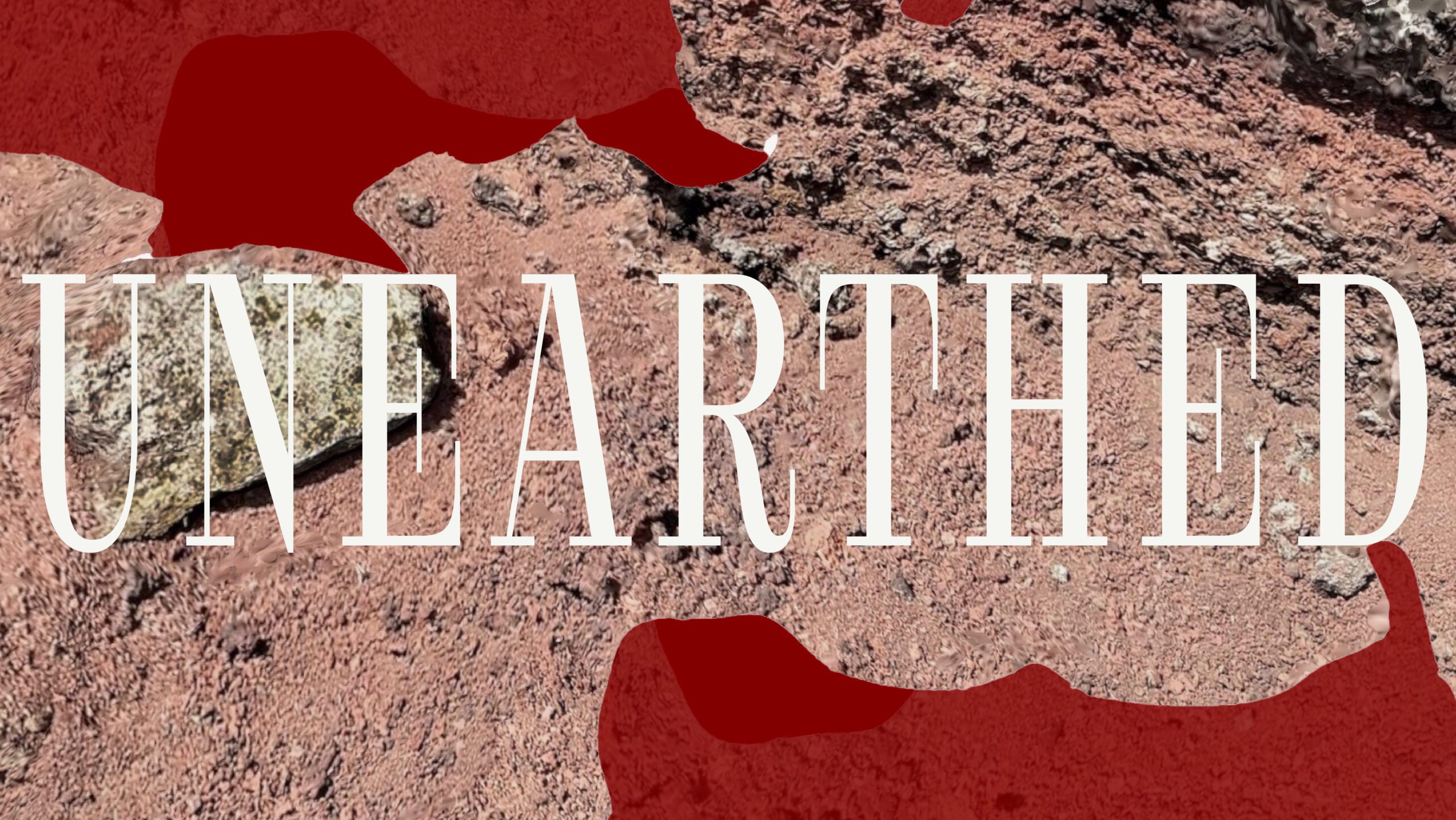 Unearthed: Exhibition in the Greenhouse | The Nordic House